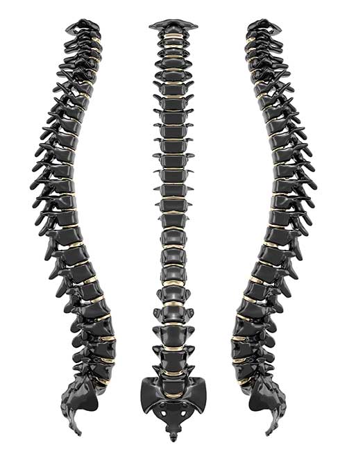 Information - Delson Chiropractic